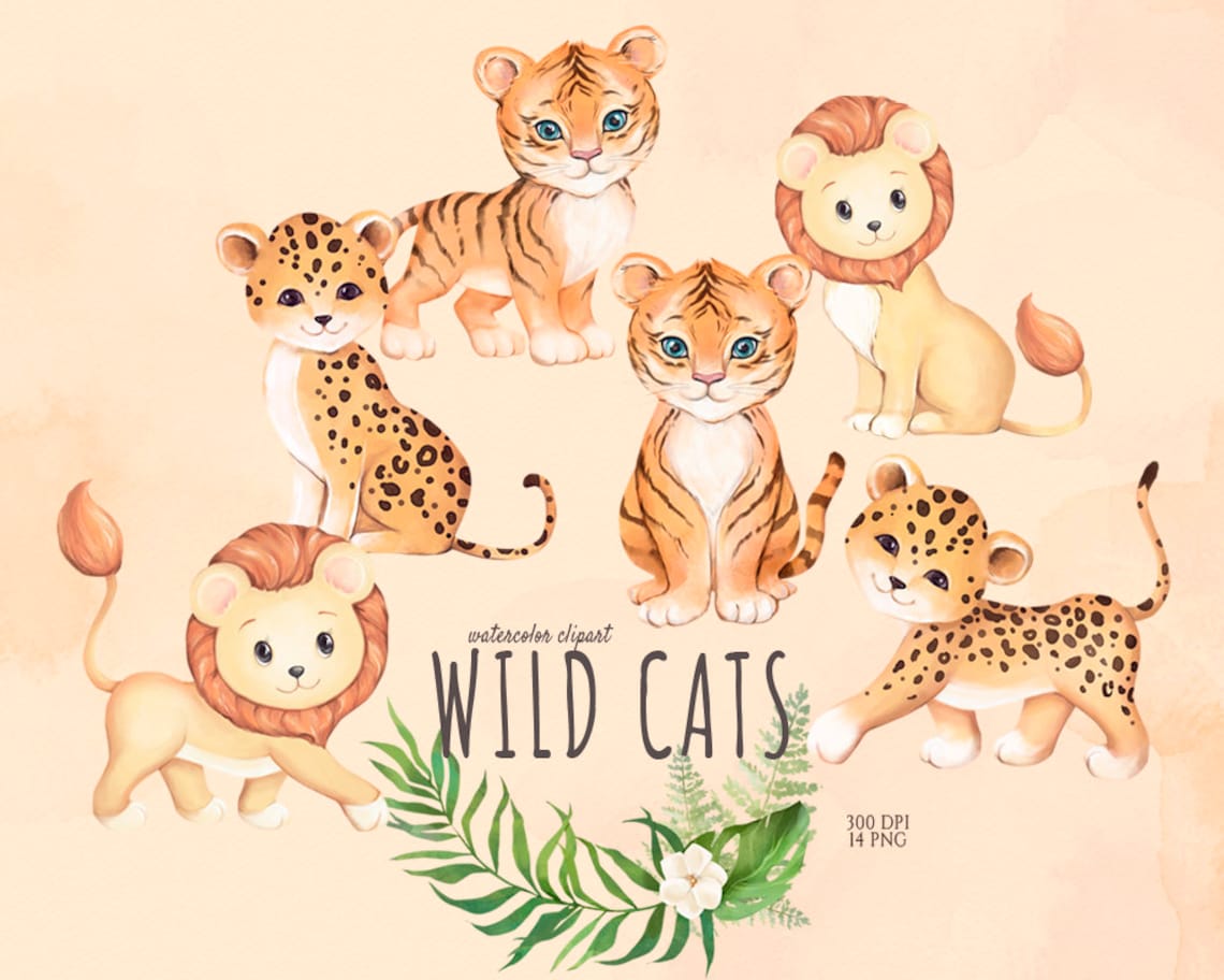Wild Cats Watercolor Baby Animals Clipart Wild African Cute - Etsy