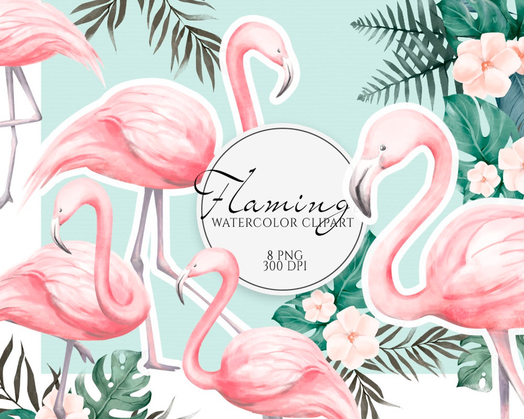 Watercolor Flamingo Clip Art, Tropical Birds Clipart, Watercolor Summer ...