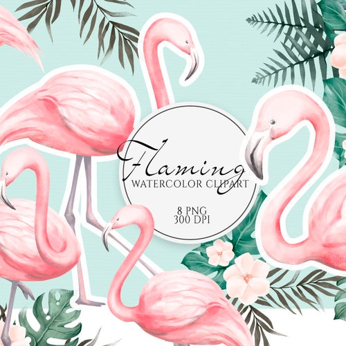 Tropical Flamingo Watercolor Clipart Pink Flamingo PNG - Etsy