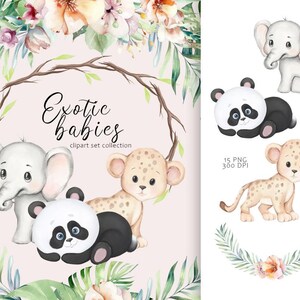 Watercolor Baby Animals Clipart, Tropical Animals, Safari, Cute Jungle ...