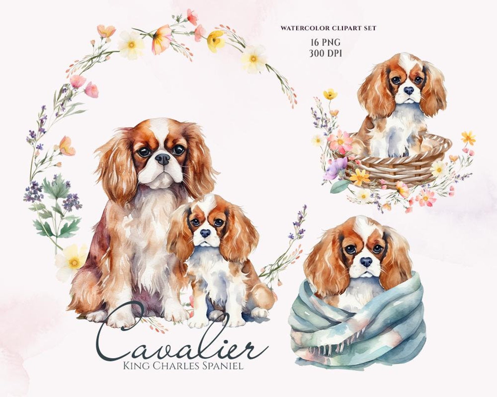 Cavalier King Charles Spaniel Clipart, Watercolor Cavalier, Cute Dogs ...