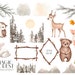 Watercolor Forest Animals Clip Art, Woodland Animals Clipart, Fox ...