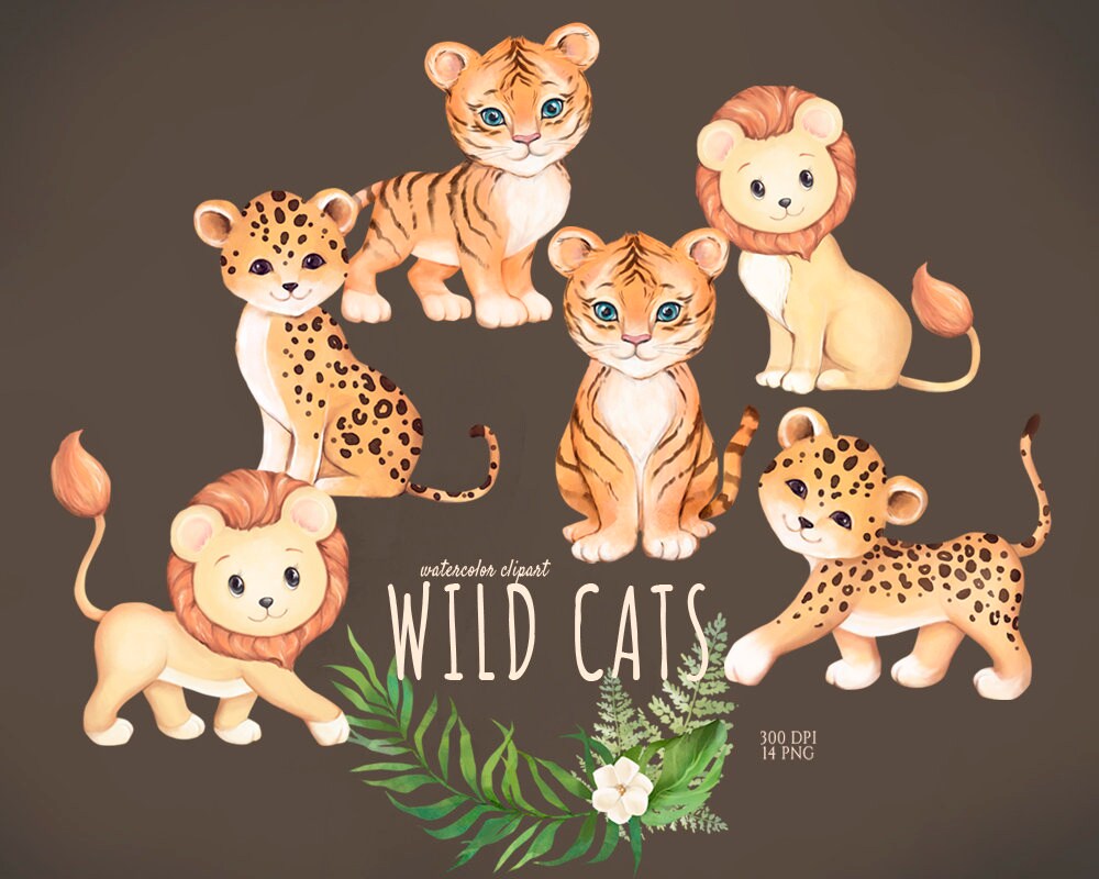 Wild Cats Watercolor Baby Animals Clipart Wild African Cute | Etsy