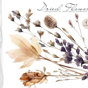 Watercolor Dried Flowers Clipart, Boho Flowers, Watercolor Floral ...