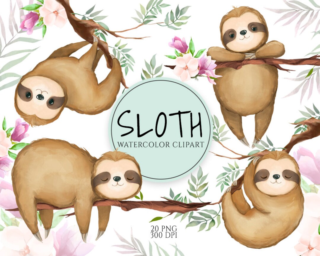 Watercolor Sloth, Baby Sloth Clipart, Little Animals, Cute Sloth, Baby ...