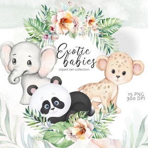 Watercolor Baby Animals Clipart, Tropical Animals, Safari, Cute Jungle ...