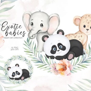 Watercolor Baby Animals Clipart, Tropical Animals, Safari, Cute Jungle ...