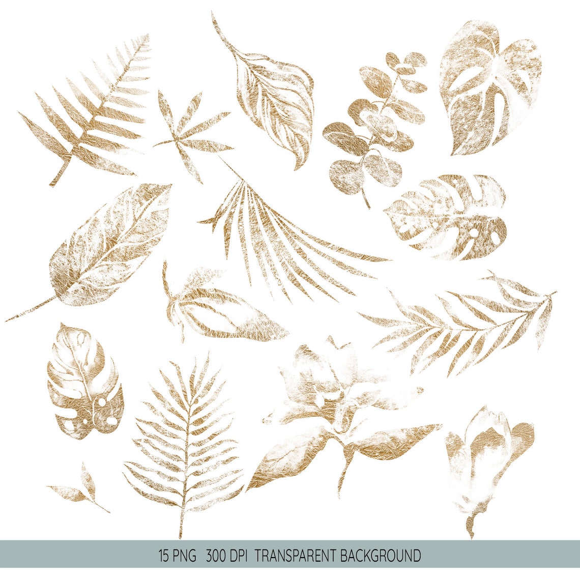 Gold Floral Elements Foil Leaves Clip Art Doodle Flower - Etsy