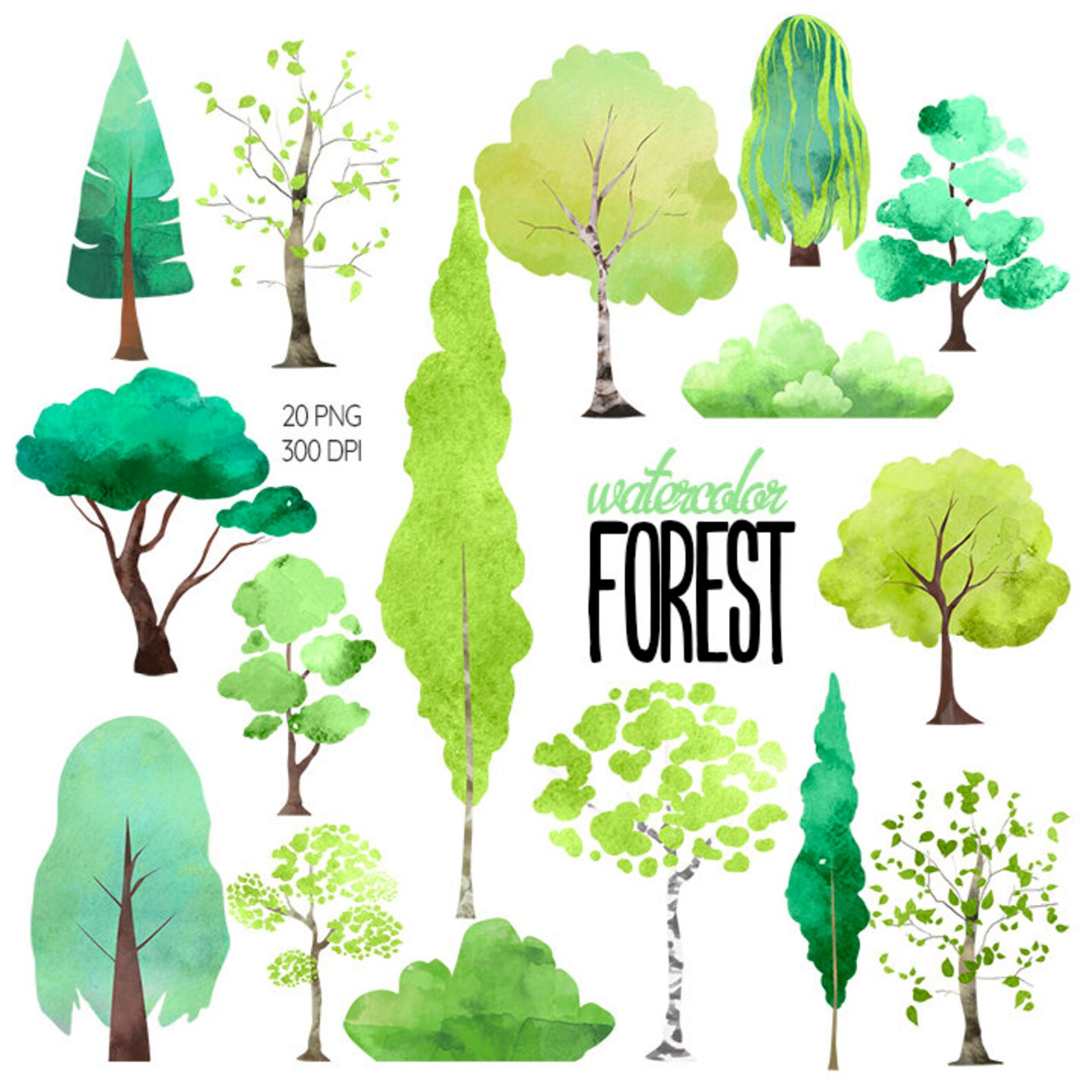 Trees Clip Art Watercolor Fores Clipart Trees Grapchics - Etsy
