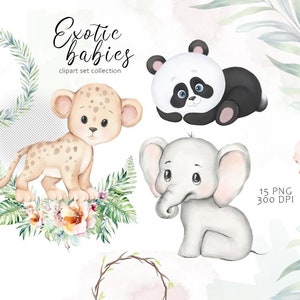 Watercolor Baby Animals Clipart, Tropical Animals, Safari, Cute Jungle ...