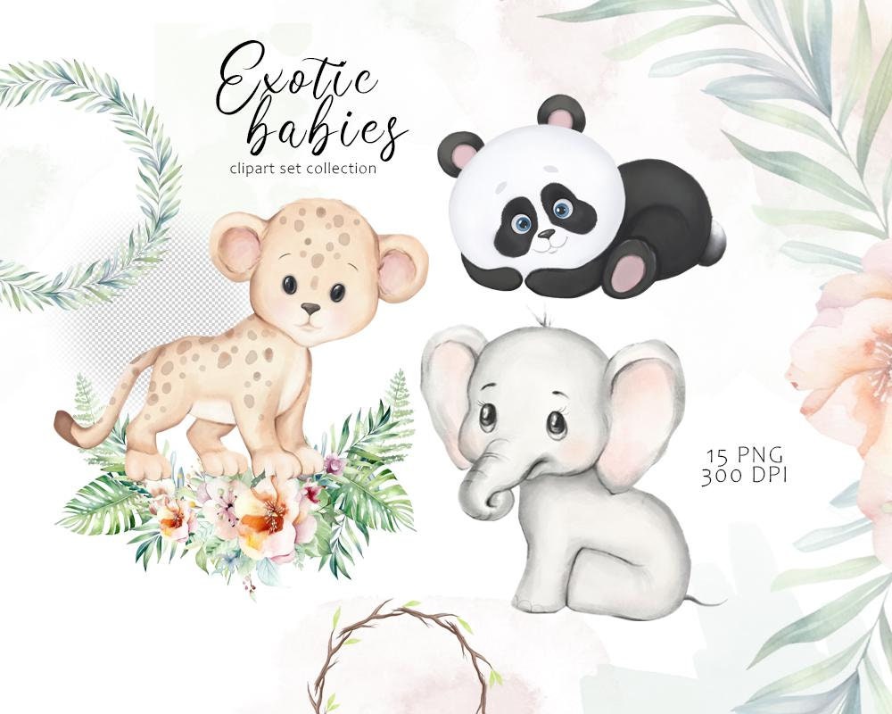 Watercolor Baby Animals Clipart, Tropical Animals, Safari, Cute Jungle ...
