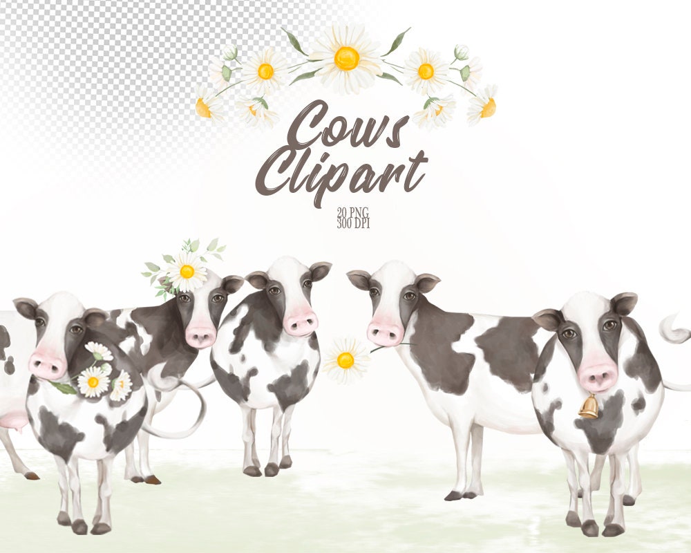 Watercolor Cow Clipart Watercolor Heifer Cute Cows Clip Art | Etsy