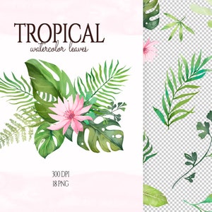 Tropical Foliage, Watercolor Leaves Clipart, Tropical Palm Leaf, Jungle ...