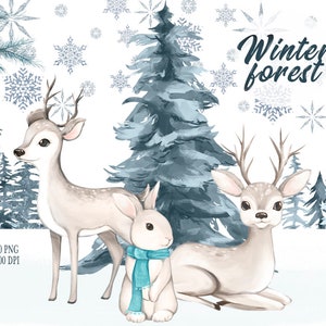 Woodland Winter Animals Clipart, Watercolor Christmas Animal, White ...