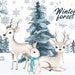 Woodland Winter Animals Clipart, Watercolor Christmas Animal, White ...