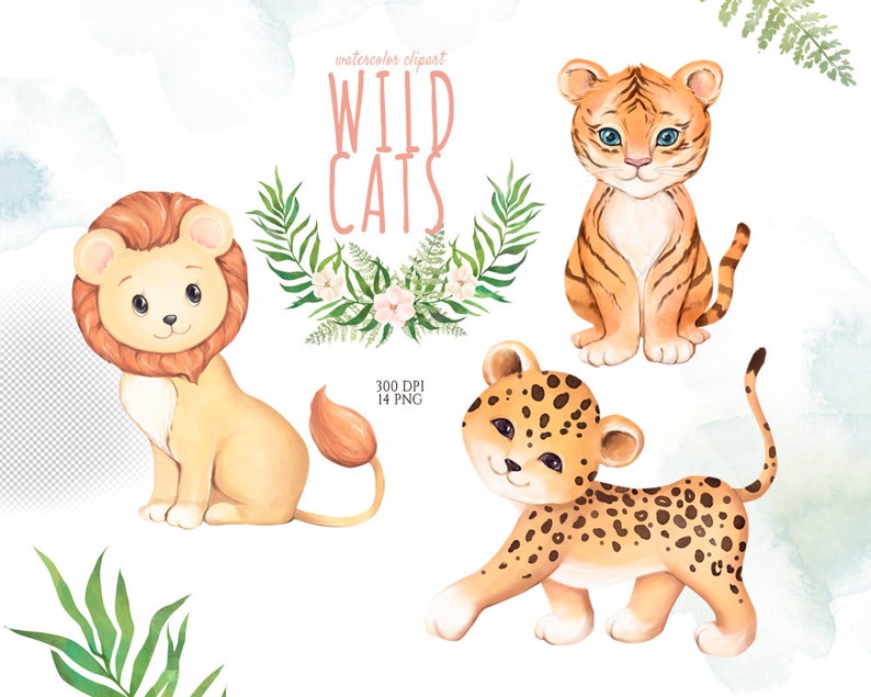 Wild Cats, Watercolor Baby Animals Clipart, Wild African, Cute Lion ...