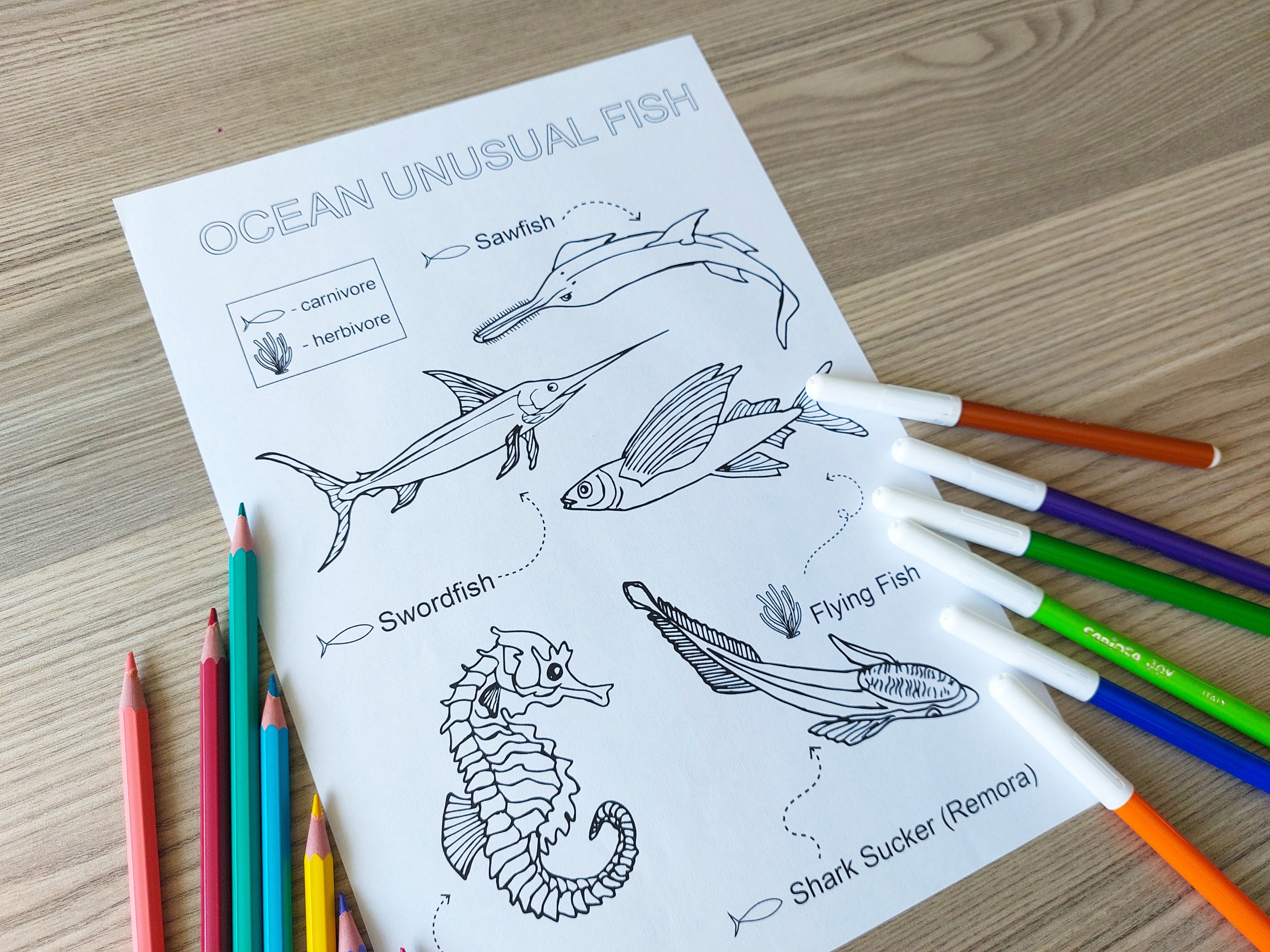 Set of 10 Printable Coloring Activity Pages, Fish and Sea Animals, PDF ...