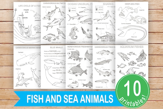 Set of 10 Printable Coloring Activity Pages Fish and Sea - Etsy