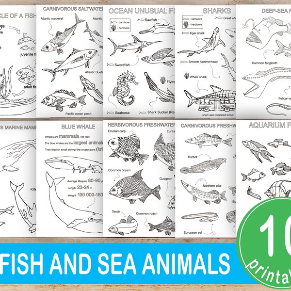 Ocean Coloring Pages - Etsy