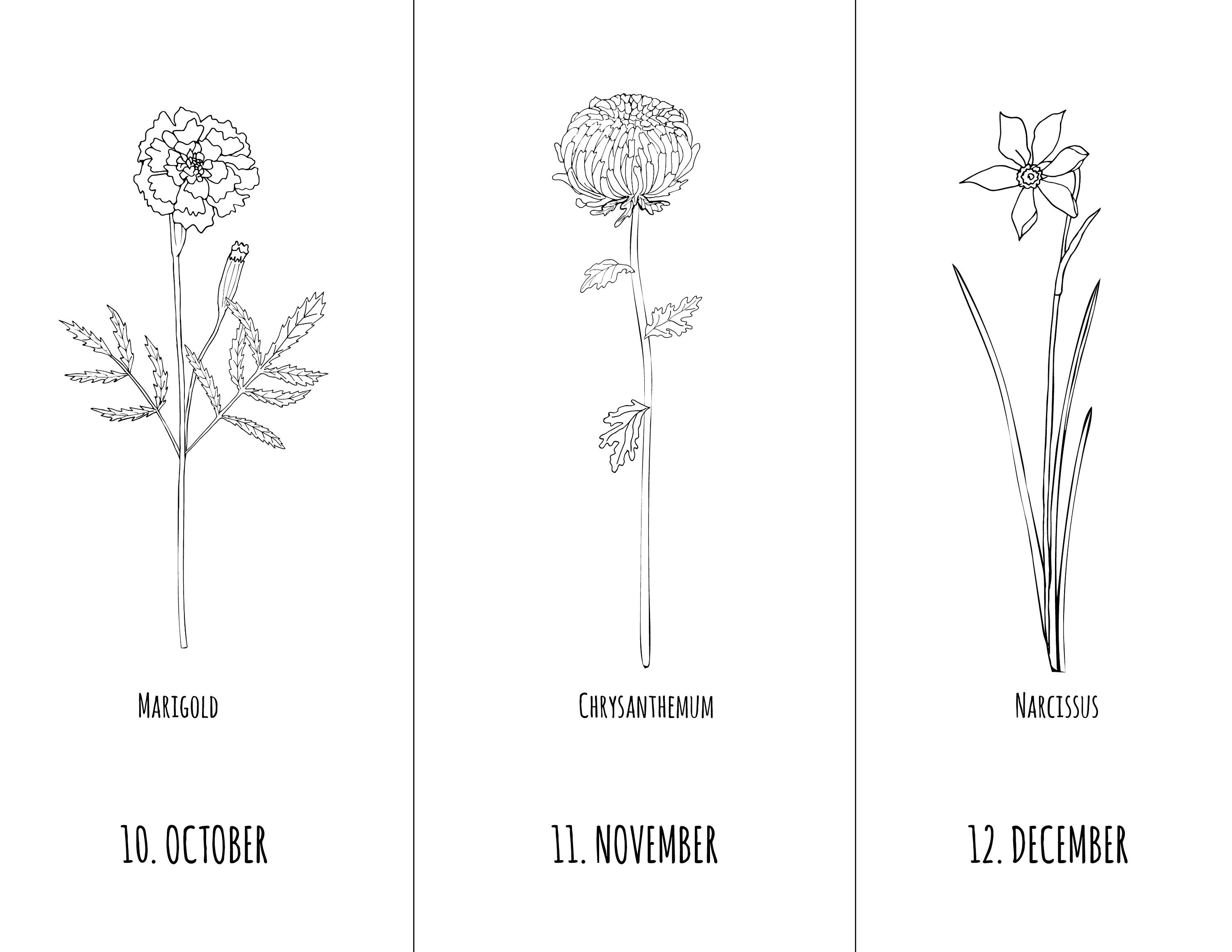 DIGITAL Custom Name Birth Flower Print,personalized Birth Month Flower ...