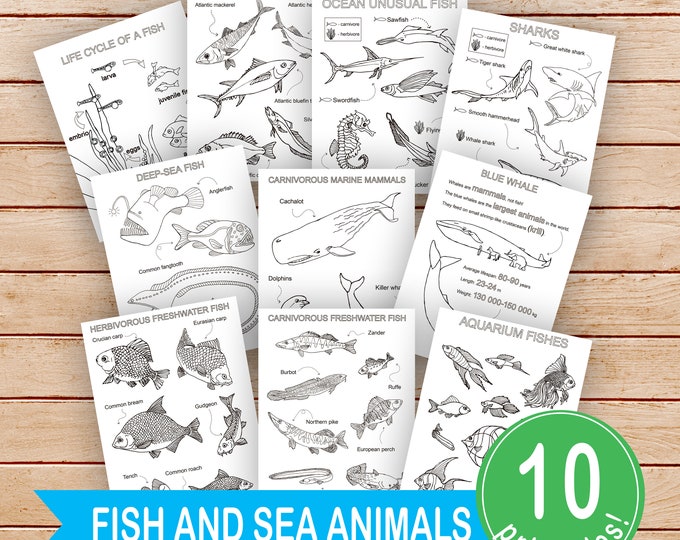 Ocean Layers Printable, Ocean Zones, Pelagic Zones, Learn About the ...