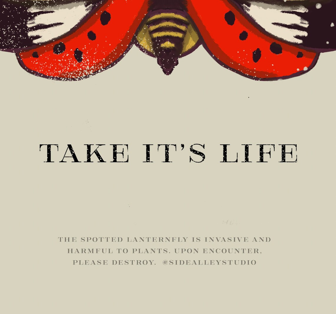 Anti-spotted Lanternfly Poster Digital Download - Etsy