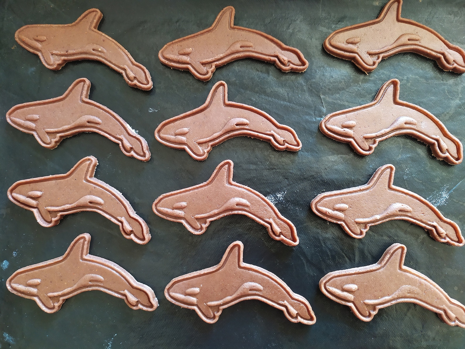 Orca Cookie Cutter Set - Etsy
