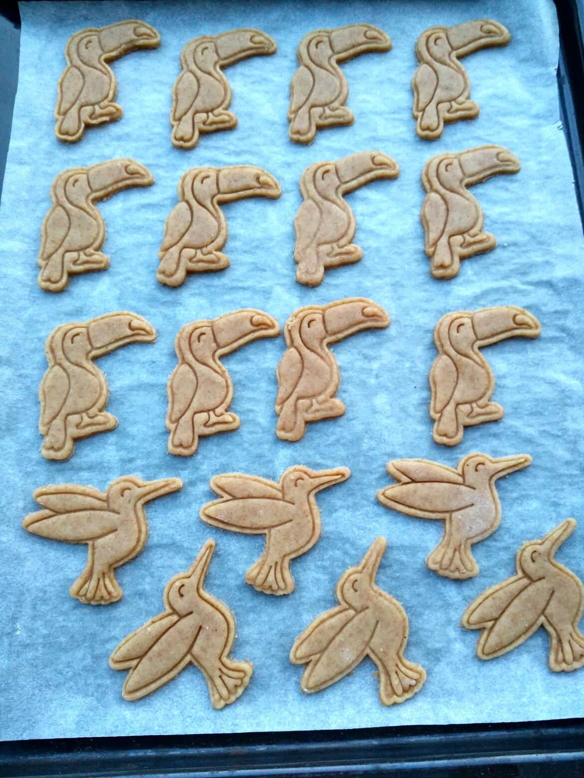 Hummingbird Cookie Cutter Set - Etsy