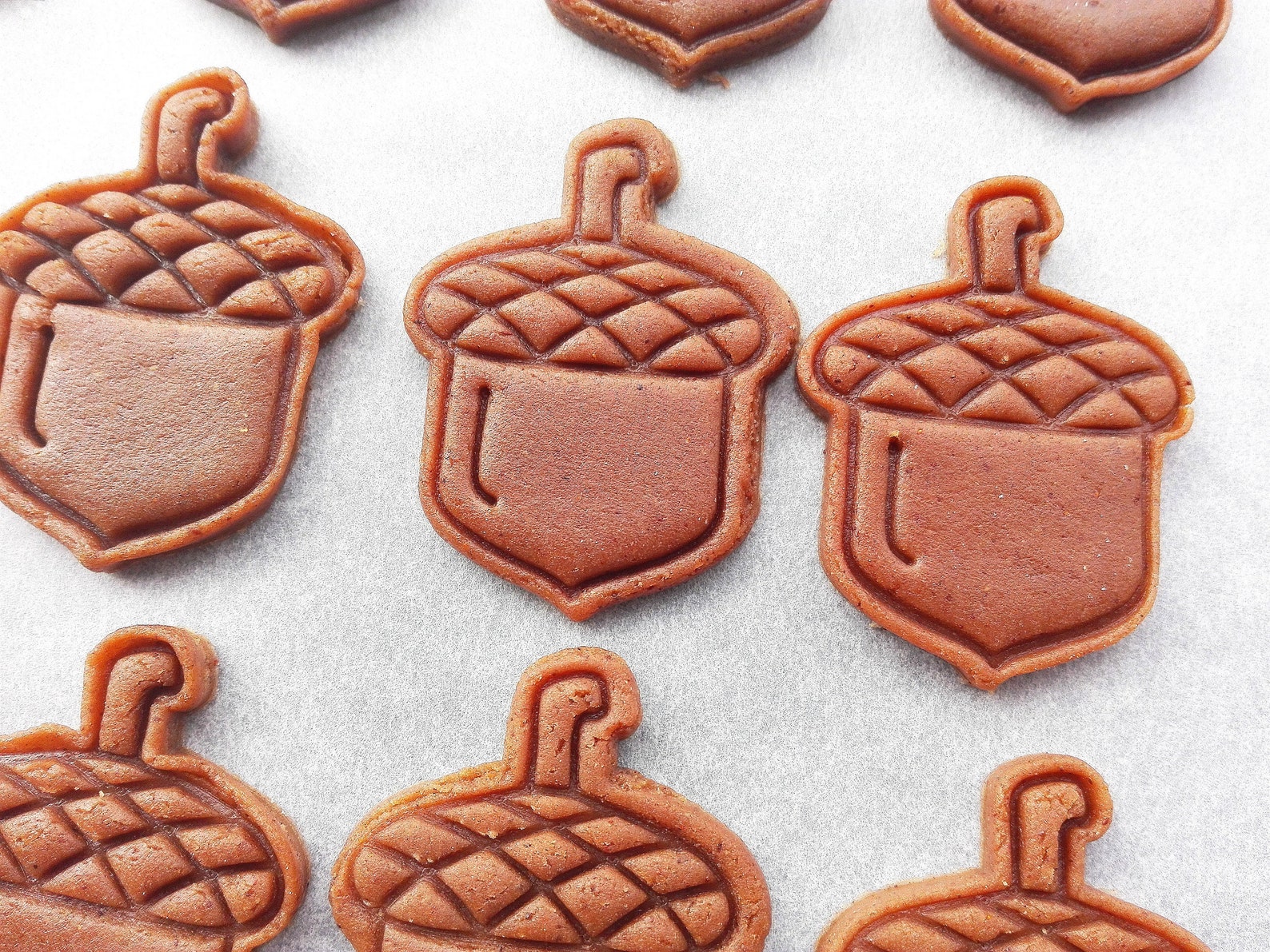 Acorn cookie cutter set | Etsy