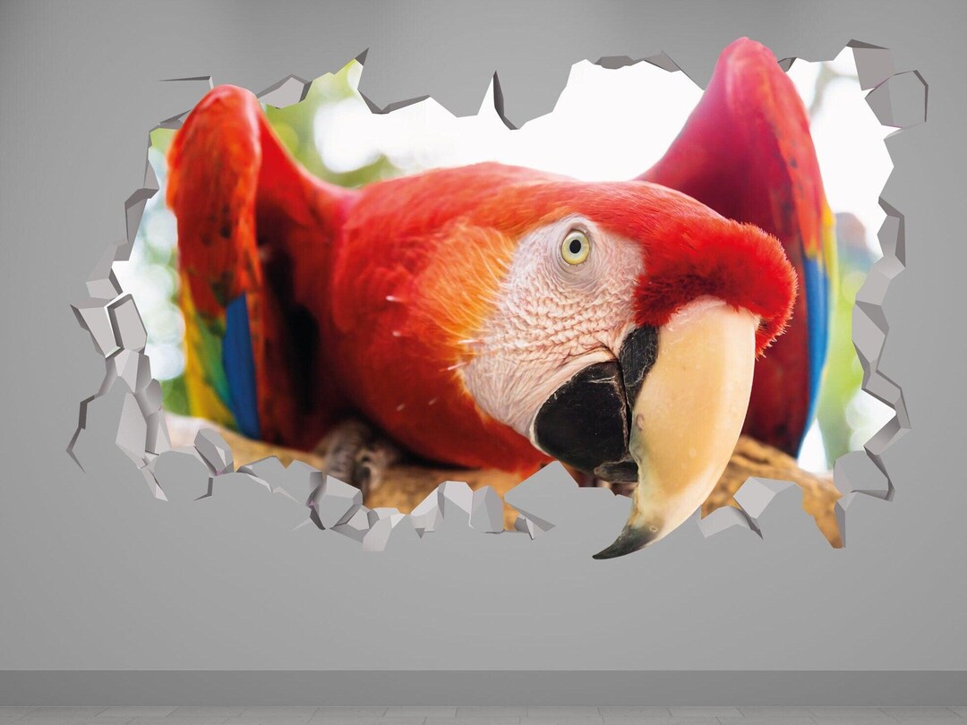 Macaw Wall Decal - Macaw Sticker - Macaw Red and Yellow - Macaw Scarlet ...