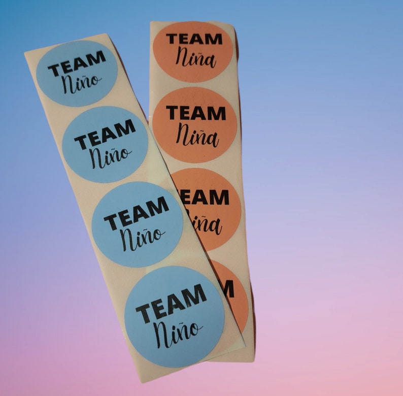 Team Niña or Team Niño Sticker for Babyshower - Etsy