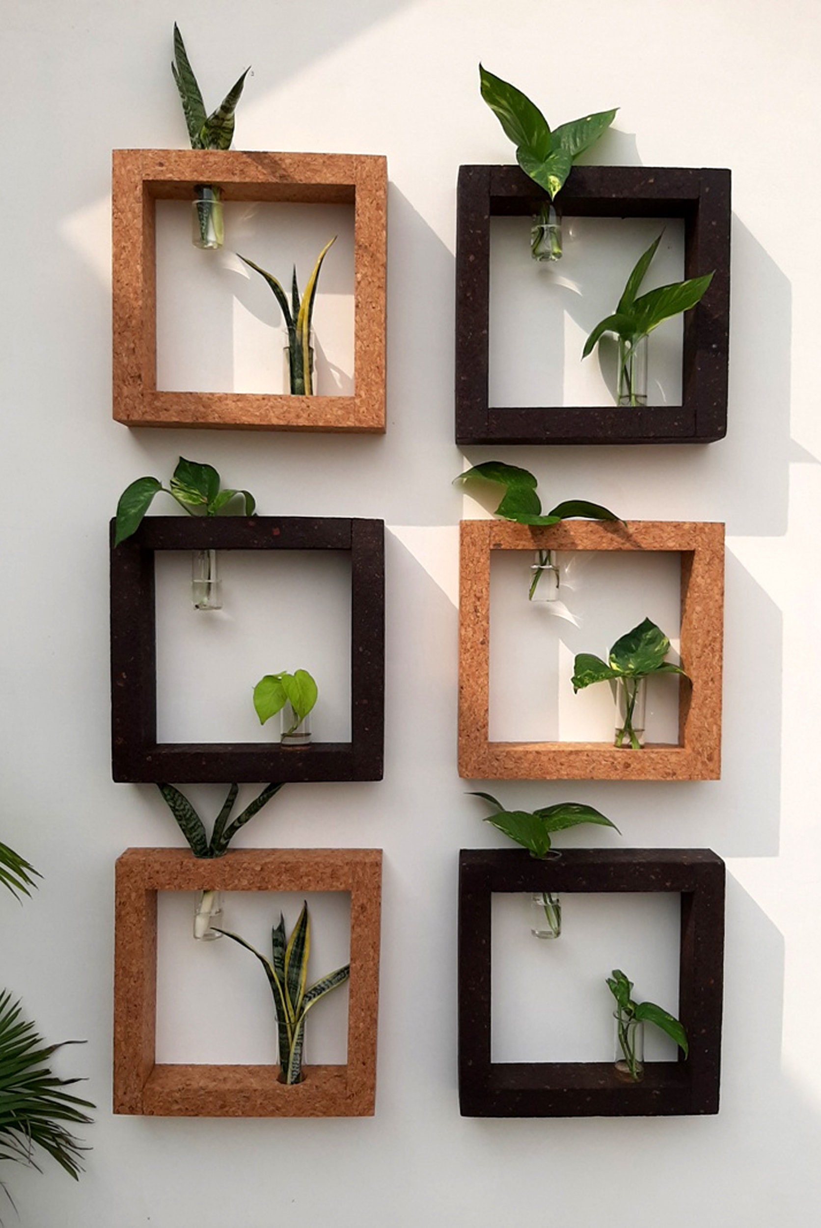 Cork Wall Frame Planter, Cork Wall Planter, Beautiful Cork Wall Decor ...