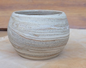 Fossil Planter Rustic Ceramic Plant Pot, Succulent Air Plant Cactus ...