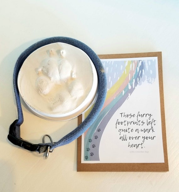 Pet Loss Card Pet Loss Dog Loss Cat Loss Memorial Gift - Etsy