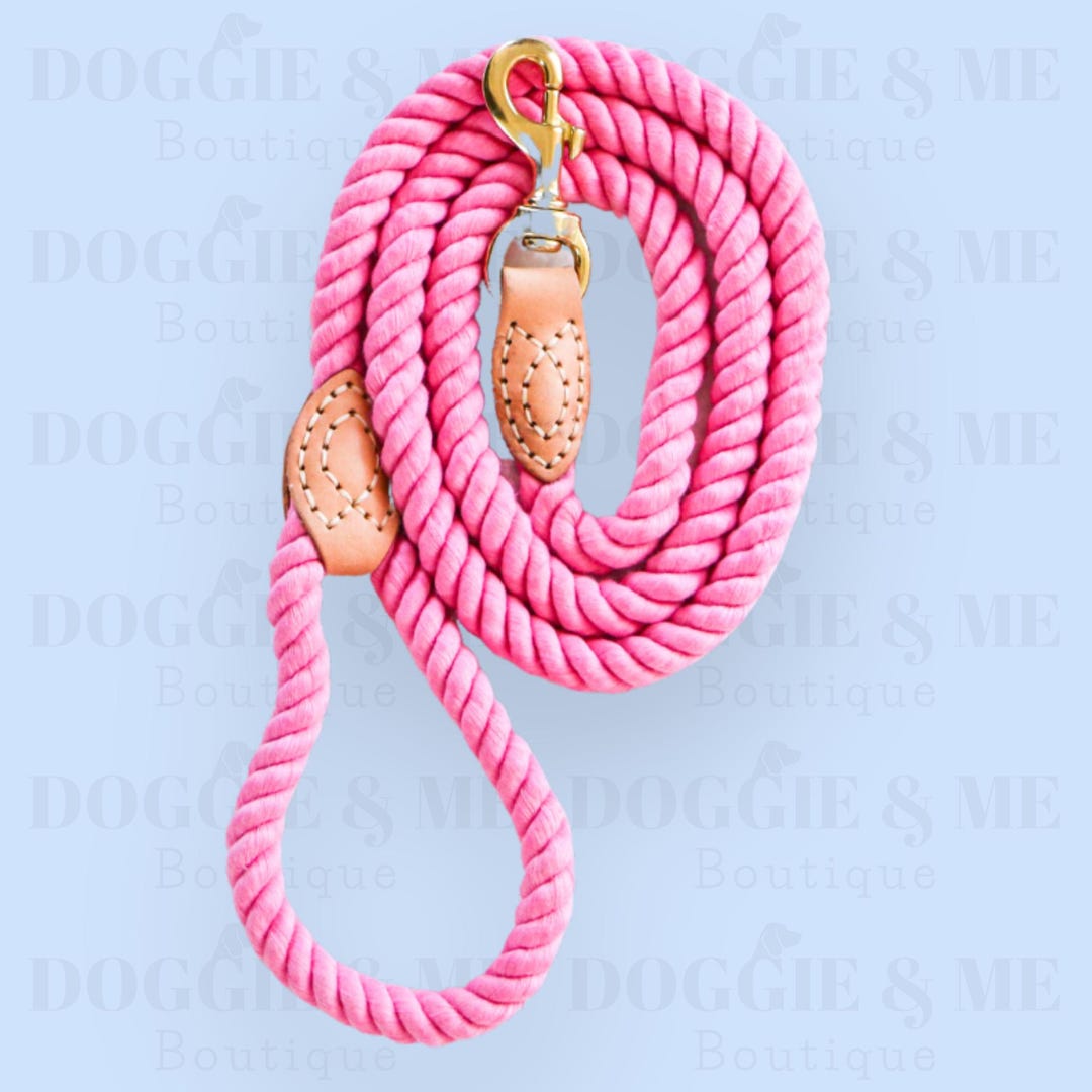 Braided Pet Leash, Cute Pet Leash, Pet Leash, Ombre Rope Dog Leash ...