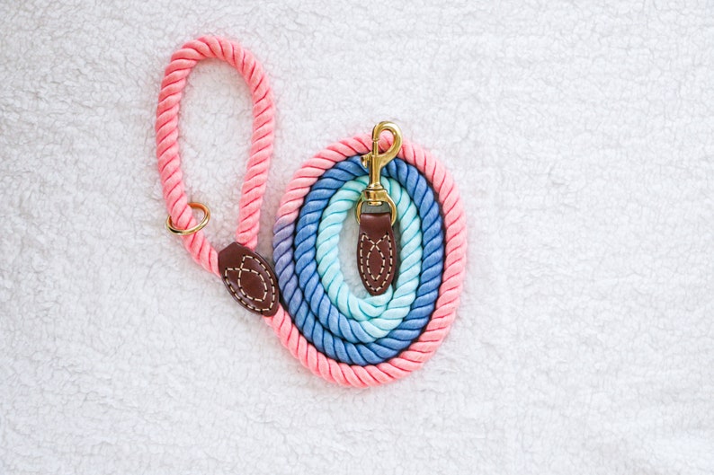 Braided Pet Leash Cute Pet Leash Pet Leash Ombre Rope Dog - Etsy