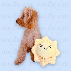 Personalized Sun Dog Toy With Squeaker: Handmade Plush Gift - Etsy