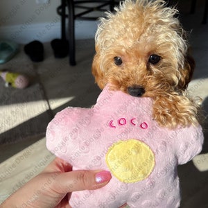Personalized Flower Dog Toy With Squeaker, Dog Toy, Cute Dog Toy ...