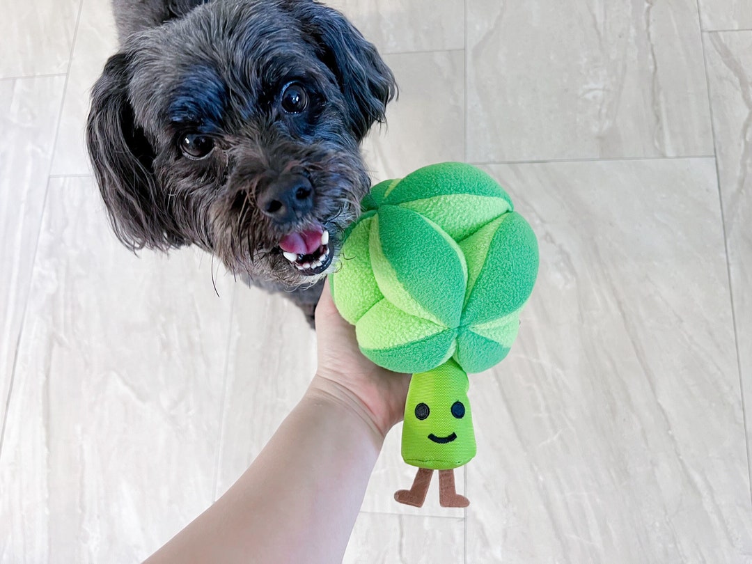 Broccoli Snuffle Toy, Snuffle Dog Toy, Snuffle Ball, Interactive ...