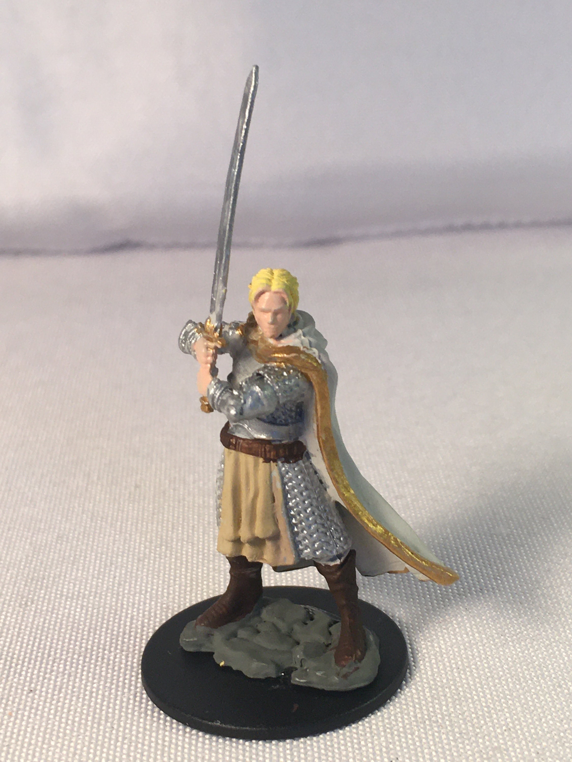 Human Paladin Painted Dnd Miniature/human Fighter D&D Hand Painted Mini ...