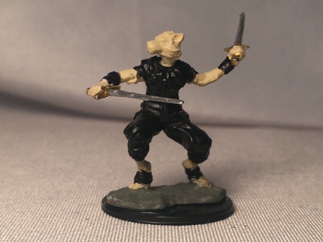Tabaxi Rogue Painted Dnd Miniature/tabaxi Fighter Hand Painted D&D Mini ...