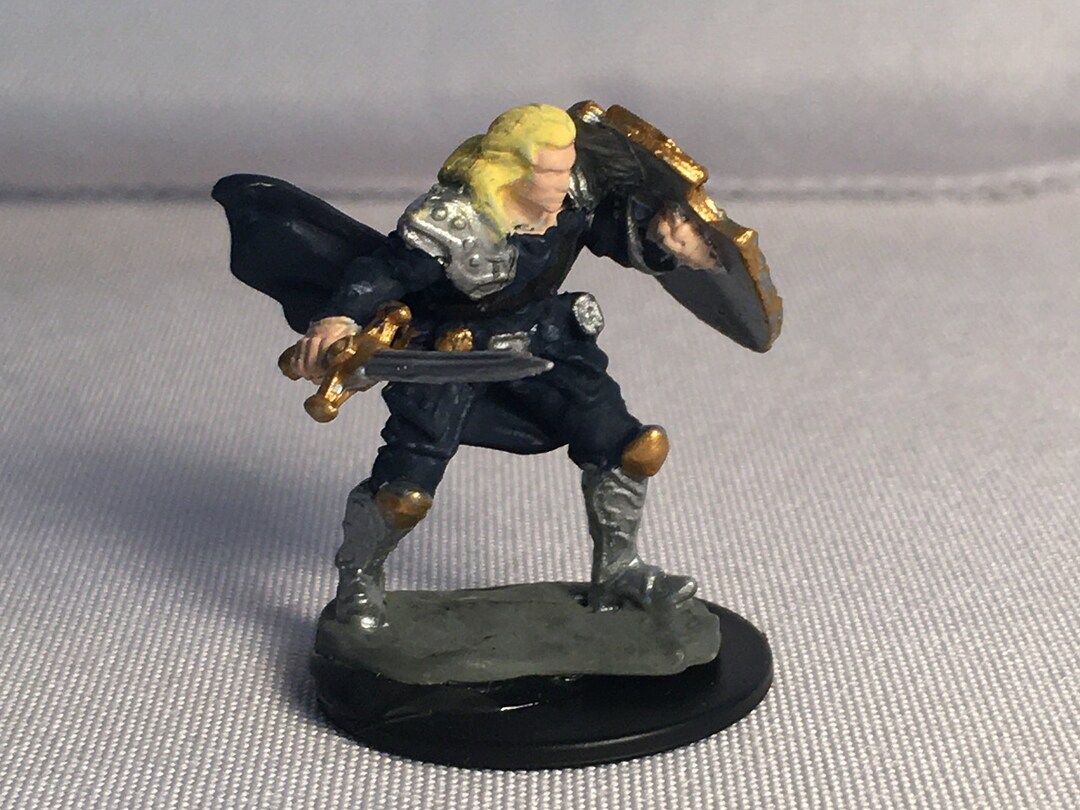 Human Paladin Painted Dnd Miniature/human Fighter Hand Painted D&D Mini ...