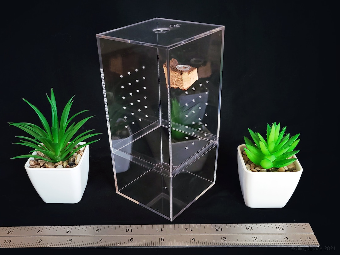 Standard Invertebrate Enclosure & Dish - Etsy