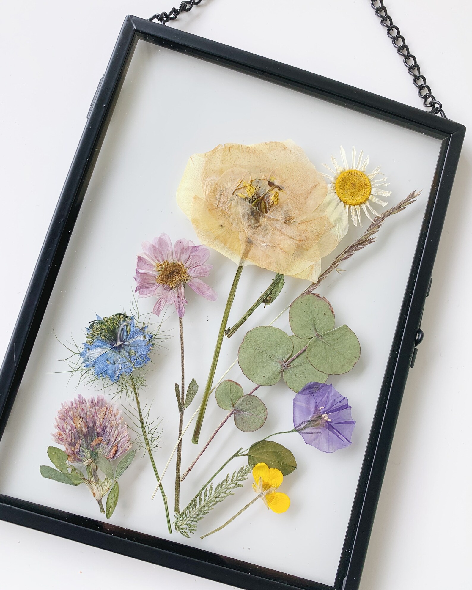 Pressed Flower Glass Hanging Frame Wall Hanging Wall - Etsy