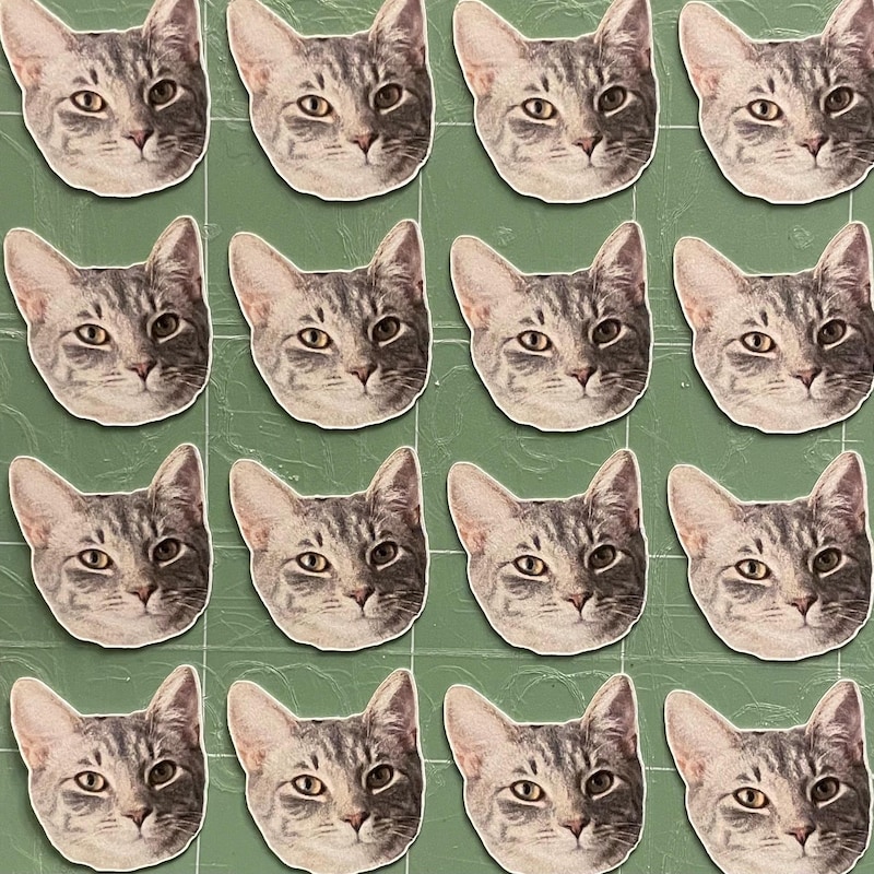 Animal Face Confetti - Etsy