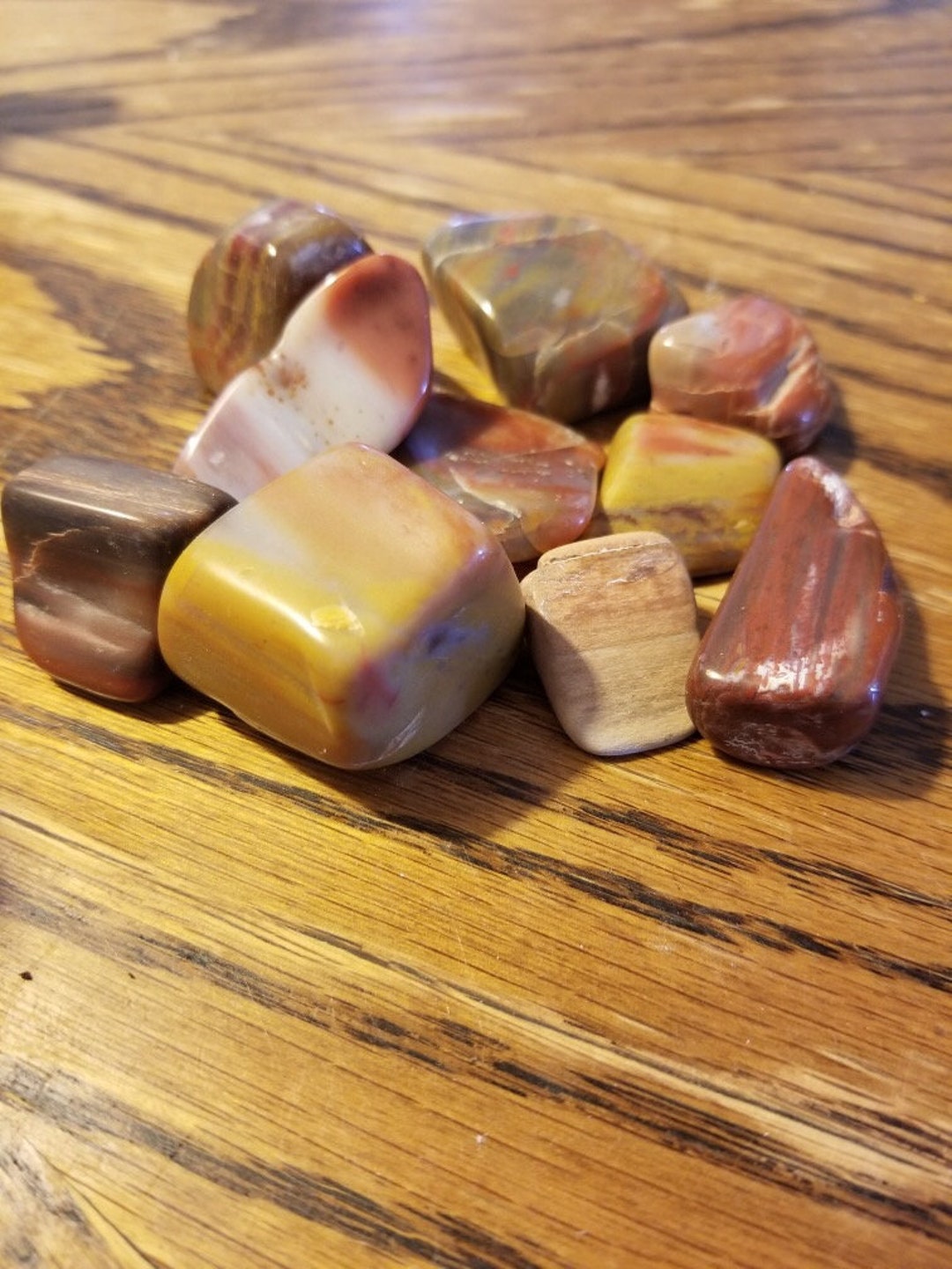 Rainbow Petrified Wood Polished - Etsy