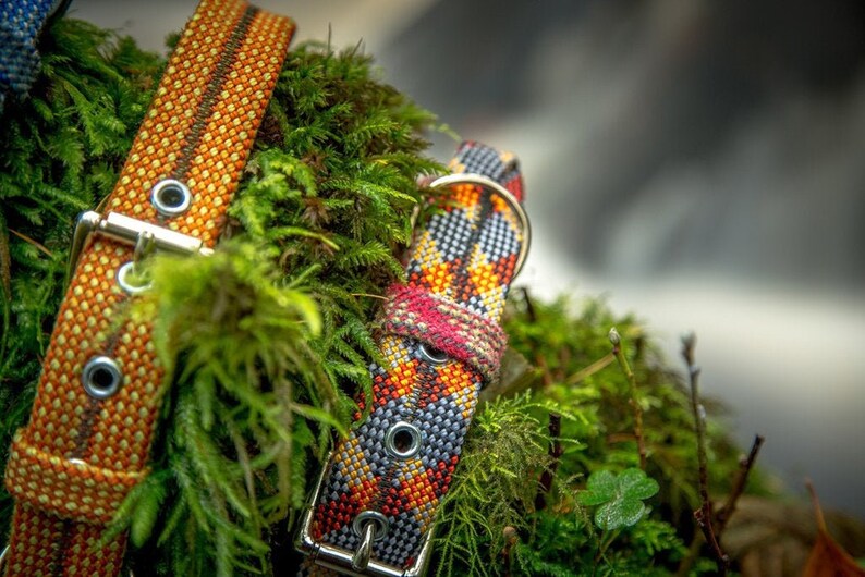 Scavenger Climbers Earth Dog Collar Handmade From Retired - Etsy
