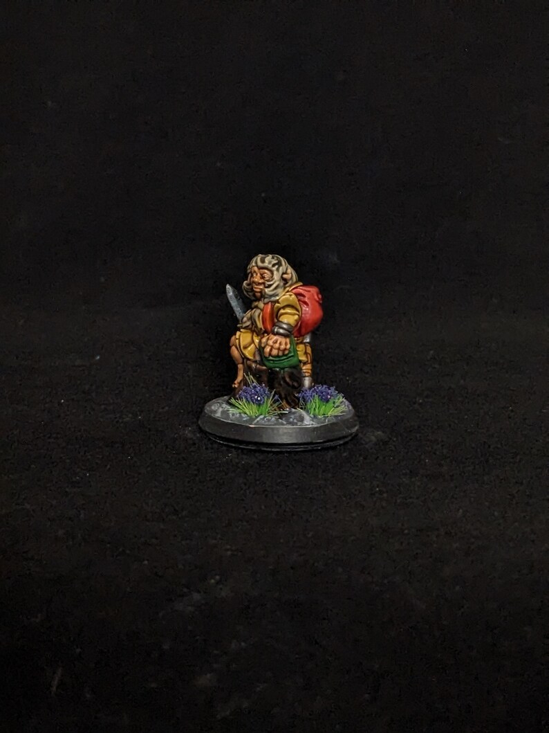 Adventurous Halfling Miniature Pip Quickfoot Hand Painted Miniature for ...