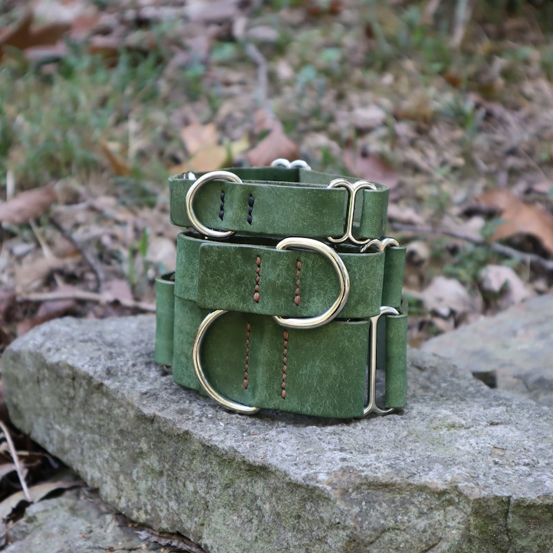 Martingale Iggy Collar - Etsy