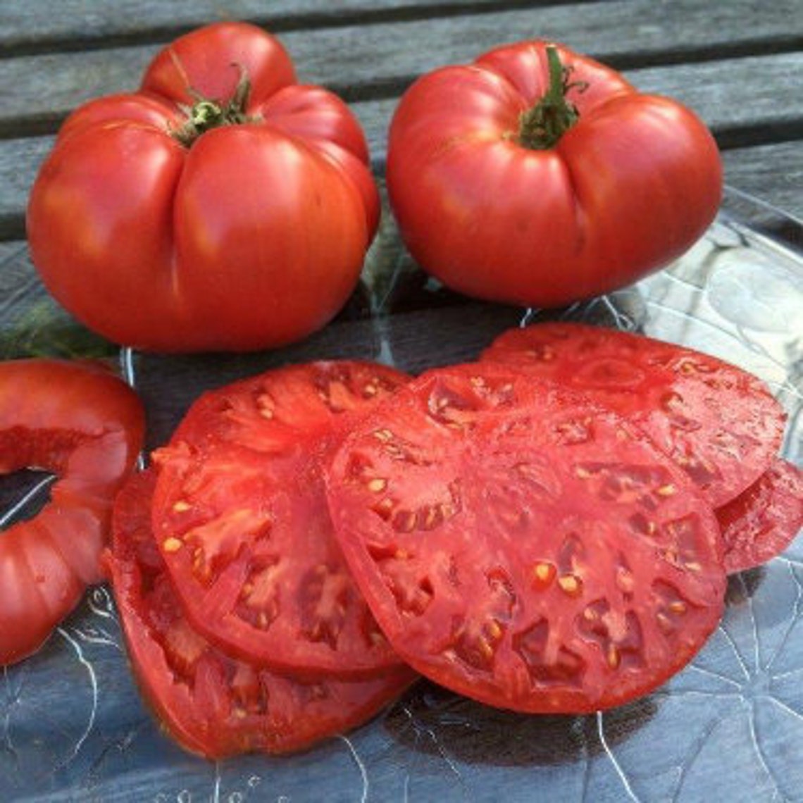 Giant Red Beef Steak Tomato 6 Plant Seeds - Etsy Canada